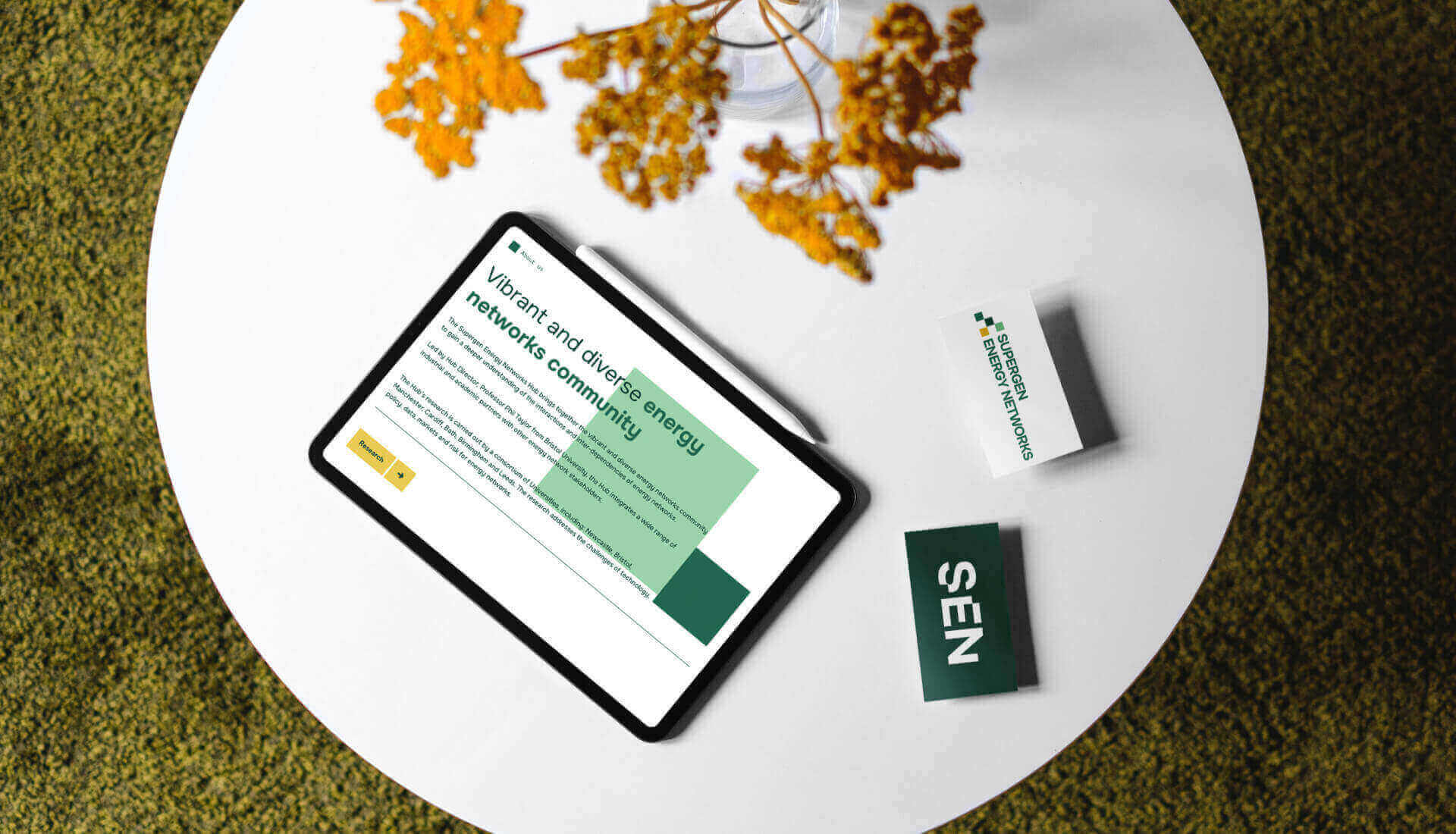 Sustainable Web Design: How to Create Environmentally Friendly Websites ...